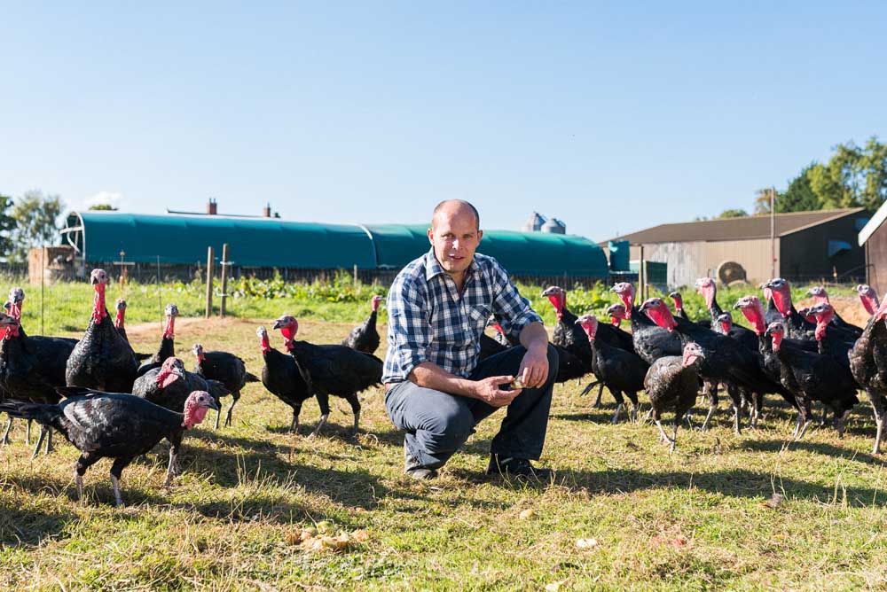 Our Farm – Mortons Farm